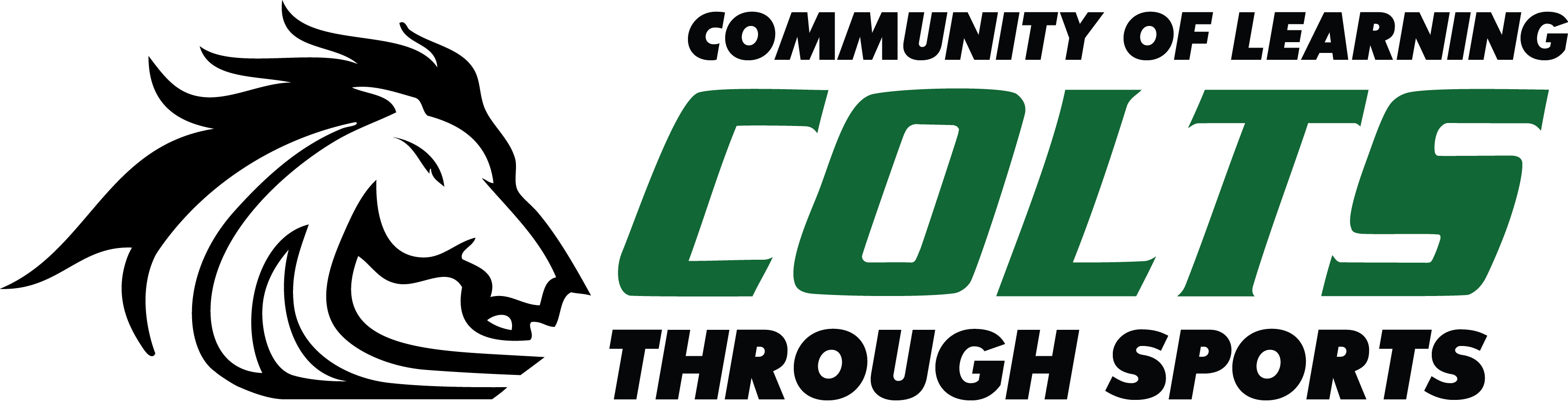 Community of Learning Through Sports (COLTS)